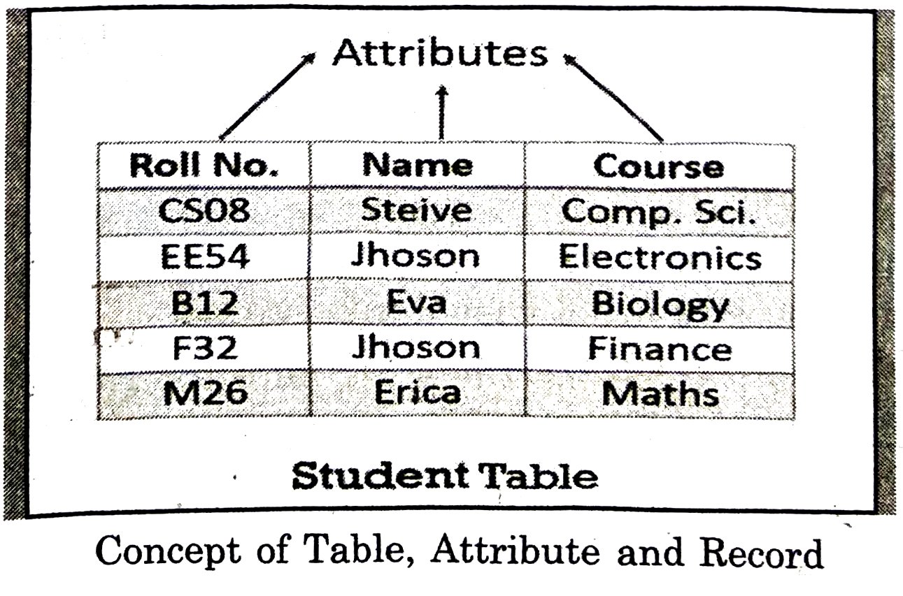 PSEB Solutions for Class 9 Computer Science Chapter 8 Database Management System - WNA24