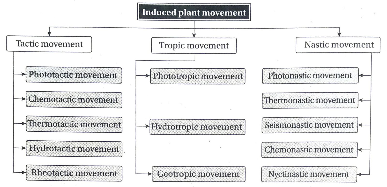 WBBSE 10th Class Science Solutions Science & Environment Chapter 1 ...